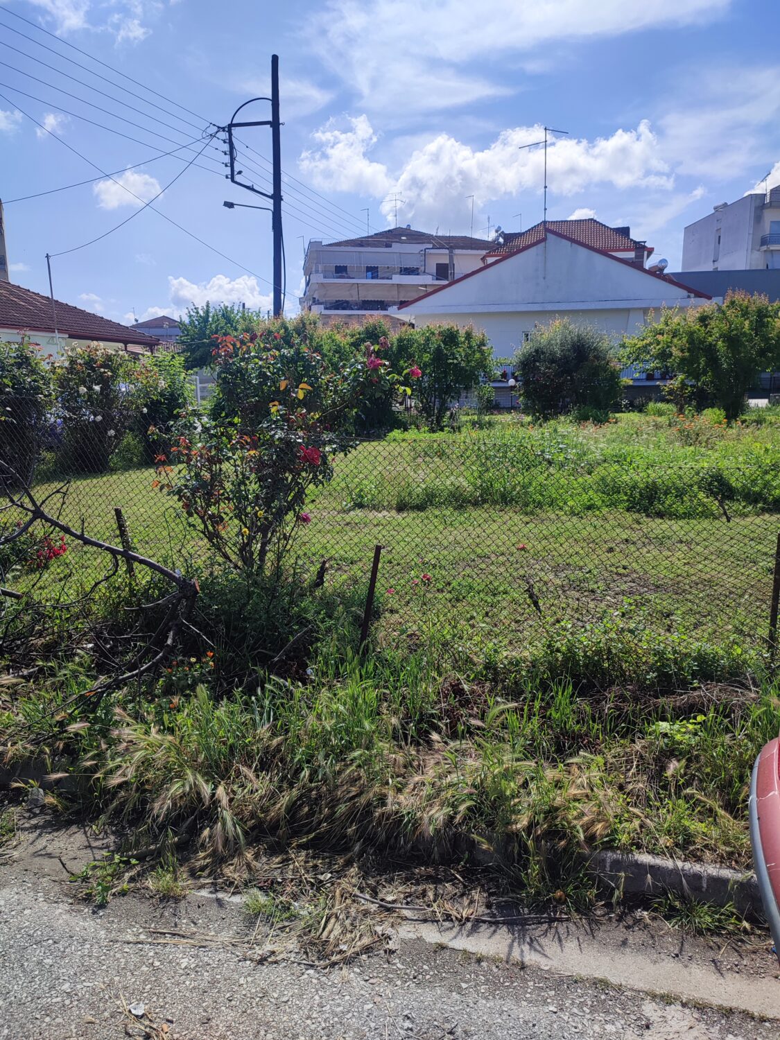 ΚΑΡΔΙΤΣΑ ΠΩΛΕΙΤΑΙ ΟΙΚΟΠΕΔΟ